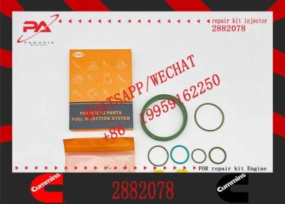 China Diesel Fuel Injector 2882078 for Cummins QSK50 QSK60 K19 KTA19 QSK19 Engines 288-2078 for sale