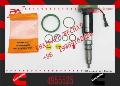 China Cummins QSK19 QSK38 QSK50 QSK60 Diesel Fuel Injector 4964171 4955525 for sale
