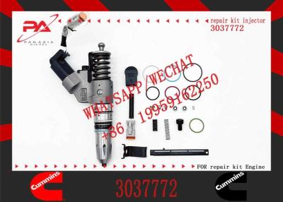 China Common Rail Fuel Injector 3411752 3411761 4307547 4928171 3411753 3037772 for Cummins M11 Excavator for sale