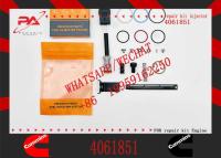 China Common Rail Fuel Injector 4061851 for Cummins M11 ISM11 QSM11 Engine 160-180 HP for sale