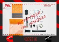 China Common Rail Fuel Injector 4061851 for Cummins M11 ISM11 QSM11 Engine 4307516 for sale