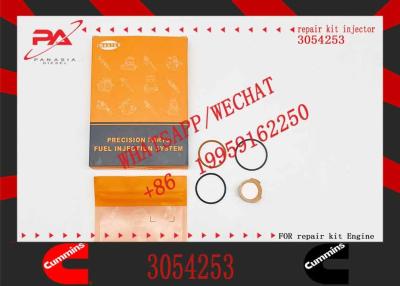 China CUMMINS NT855 Diesel Engine Injector 3054253 Fuel Nozzle for Excavator Engines for sale