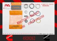 China Common Rail Fuel Injector 4928262 4076912 4088301 4954644 for Cummins X15 Engine for sale