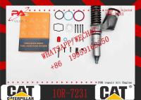 China Cat Engine Parts 10R-3262 C11 C13 Fuel Injector 2490713 249-0713 for Caterpillar for sale