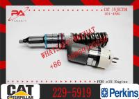 China Fuel Injector 229-5919 10R-1000 for CAT C18 C15 C12 C13 3406E Excavator Engine Parts for sale