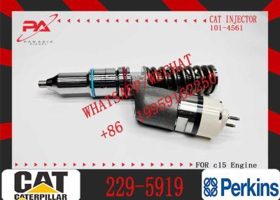 China Fuel Injector 229-5919 10R-1000 for CAT C18 C15 C12 C13 3406E Excavator Engine Parts for sale