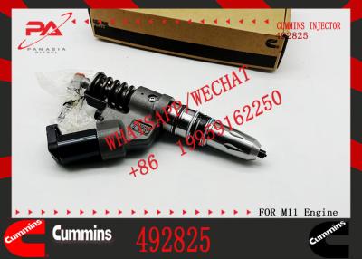 China Diesel Fuel Injector 3411754 3411755 492825 4928517 for Cummins Engine 24V for sale