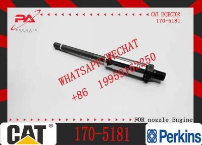 China Fuel Injector 4W7018 4W7019 4W7032 5183 8N7005 1301804 7562 Compatible with Caterpillar Engines for sale