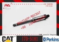 China Fuel Injector 4W7018 4W7019 4W7032 5183 8N7005 1301804 7562 Compatible with Caterpillar Engines for sale