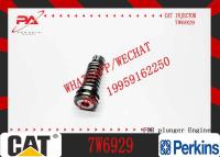 China Diesel Engine Pump Plunger 7W6929 7W0182 6N7828 High Pressure Fuel Injection for sale