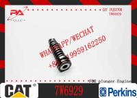 China Diesel Engine Pump Plunger 7W6929 7W0182 6N7828 High Pressure Fuel Injection for sale