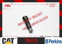 China Diesel Engine Pump Plunger 7W6929 7W0182 6N7828 High Pressure Fuel Injection for sale