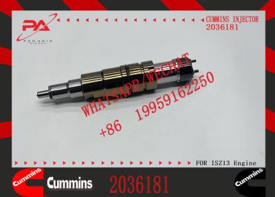China Diesel Engine Injector 1933612 2036181 for Scania RDC13A DC16A Excavator XPI for sale