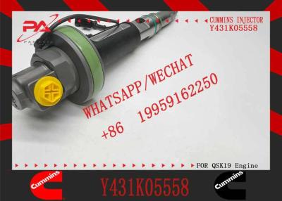 China New Fuel Injector 2867148 Y431K05558 for Cummins QSK19 Diesel Engine 4964170 for sale
