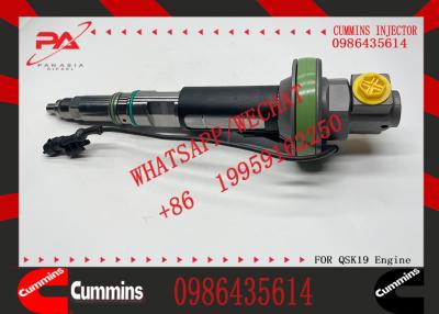 China Cummins Fuel Injector 2864149 2867149 0986435614 4955526 High Performance Diesel Engine Part for sale