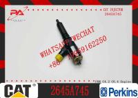 China Diesel Excavator Injection Valve 2645A738 2645A745 320-0677 for C6.6 Engine 2200bar for sale