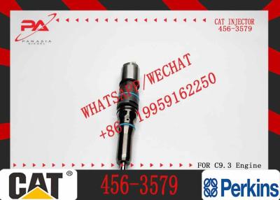 China Common Rail Diesel Injector for CAT C9.3 Engine 417-3013 456-3509 456-3579 456-3589 24V for sale