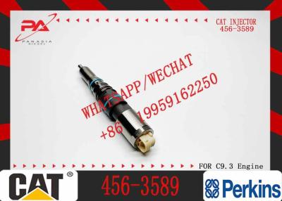 China Common Rail Diesel Injector for CAT C9.3 Engine 417-3013 456-3589 24V 1.6kg for sale