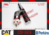 China CAT Fuel Injector 229-5919 253-0618 for C15 C18 3406E Electronic Unit Injector 2.5kg for sale