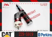 China CAT Fuel Injector 229-5919 253-0618 for C15 C18 3406E Electronic Unit Injector 2.5kg for sale