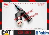 China CAT Fuel Injector 229-5919 253-0618 for C15 C18 3406E Electronic Unit Injector 2.5kg for sale