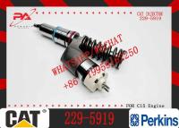 China CAT Fuel Injector 229-5919 253-0618 for C15 C18 3406E Electronic Unit Injector 2.5kg for sale