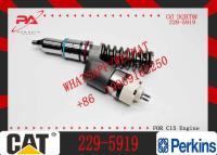 China CAT Fuel Injector 229-5919 253-0618 for C15 C18 3406E Electronic Unit Injector 2.5kg for sale