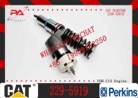 China CAT Fuel Injector 229-5919 253-0618 for C15 C18 3406E Electronic Unit Injector 2.5kg for sale