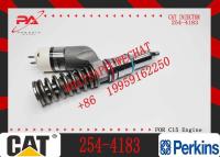 China Common Rail Diesel Fuel Injector 254-4183 253-0608 for CAT C13 C15 C18 Engine 2.5kg for sale