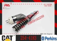 China Common Rail Diesel Fuel Injector 254-4183 253-0608 for CAT C13 C15 C18 Engine 2.5kg for sale