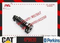 China CAT Fuel Injection Pump Plunger 4P9830 7W5929 for 3306 3406 3408 3508 Engines 32000kPa for sale