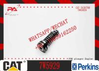 China CAT Fuel Injection Pump Plunger 7W5929 4P9830 for 3306 3406 3408 3508 Engines for sale