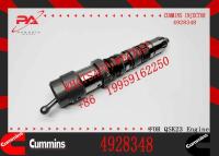 China Fuel Injector 4928348 4010029 for Cummins QSK23 Engine 1800-2200 Bar for sale