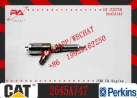 China Diesel Common Rail Injector 2645A746 2645A747 2645A749 2645A751 for Caterpillar C6 Engines 2.0kg for sale