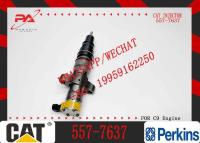 China Caterpillar C9 Fuel Injector Assembly 557-7637 306-9390 1.9kg Excavator for sale