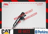 China Diesel Fuel Injector OR-8473 for Caterpillar 3116 Engine 2.0kg 24 Month Warranty for sale