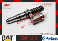 China Caterpillar 250-1313 Diesel Fuel Injector for 3512B Engine 1.9 kg 24 Month Warranty for sale