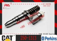 China Caterpillar 250-1313 Diesel Fuel Injector for 3512B Engine 1.9 kg 24 Month Warranty for sale
