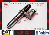 China Caterpillar 250-1313 Diesel Fuel Injector for 3512B Engine 1.9 kg 24 Month Warranty for sale