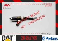 China 2645A709 Fuel Injector for Caterpillar C6 Engine 320-4740 2.05kg 12 Month Warranty for sale