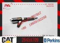 China 2645A709 Fuel Injector for Caterpillar C6 Engine 320-4740 2.05kg 12 Month Warranty for sale