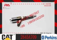 China 2645A709 Fuel Injector for Caterpillar C6 Engine 320-4740 2.05kg 12 Month Warranty for sale