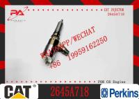 China Cat C6.6 Engine Fuel Injector 2645A749 2645A718 2645A719 for Excavator 2.0kg for sale