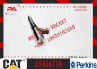 China Cat C6.6 Engine Fuel Injector 2645A749 2645A718 2645A719 for Excavator 2.0kg for sale