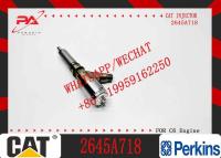 China Cat C6.6 Engine Fuel Injector 2645A749 2645A718 2645A719 for Excavator 2.0kg for sale