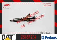 China New Common Rail Fuel Injector 32E61-00020 2645A734 for Caterpillar C6 Engine 2.05 kg for sale