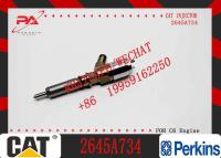 China New Common Rail Fuel Injector 32E61-00020 2645A734 for Caterpillar C6 Engine 2.05 kg for sale