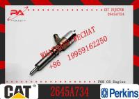 China New Common Rail Fuel Injector 32E61-00020 2645A734 for Caterpillar C6 Engine 2.05 kg for sale