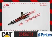 China New Common Rail Fuel Injector 32E61-00020 2645A734 for Caterpillar C6 Engine 2.05 kg for sale