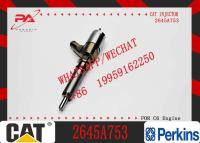 China Caterpillar C6.6 C6.4 Fuel Injector 2645A753 320-0690 326-4700 2.2kg 24 Month Warranty for sale